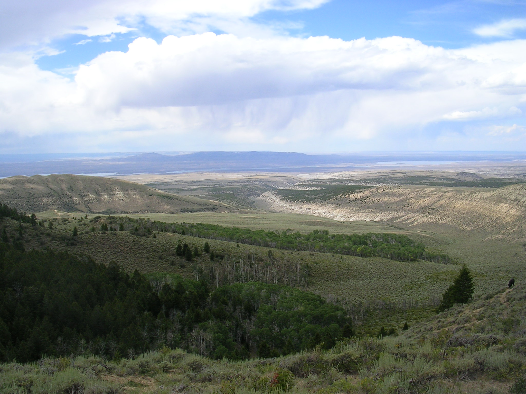 How does local vegetation data compare with regional data sets X, Y and ...